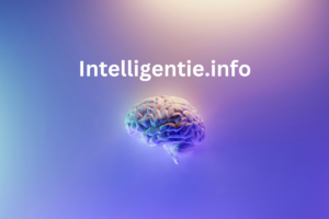 Leerstijlen Kolb: wat is jouw manier van leren?