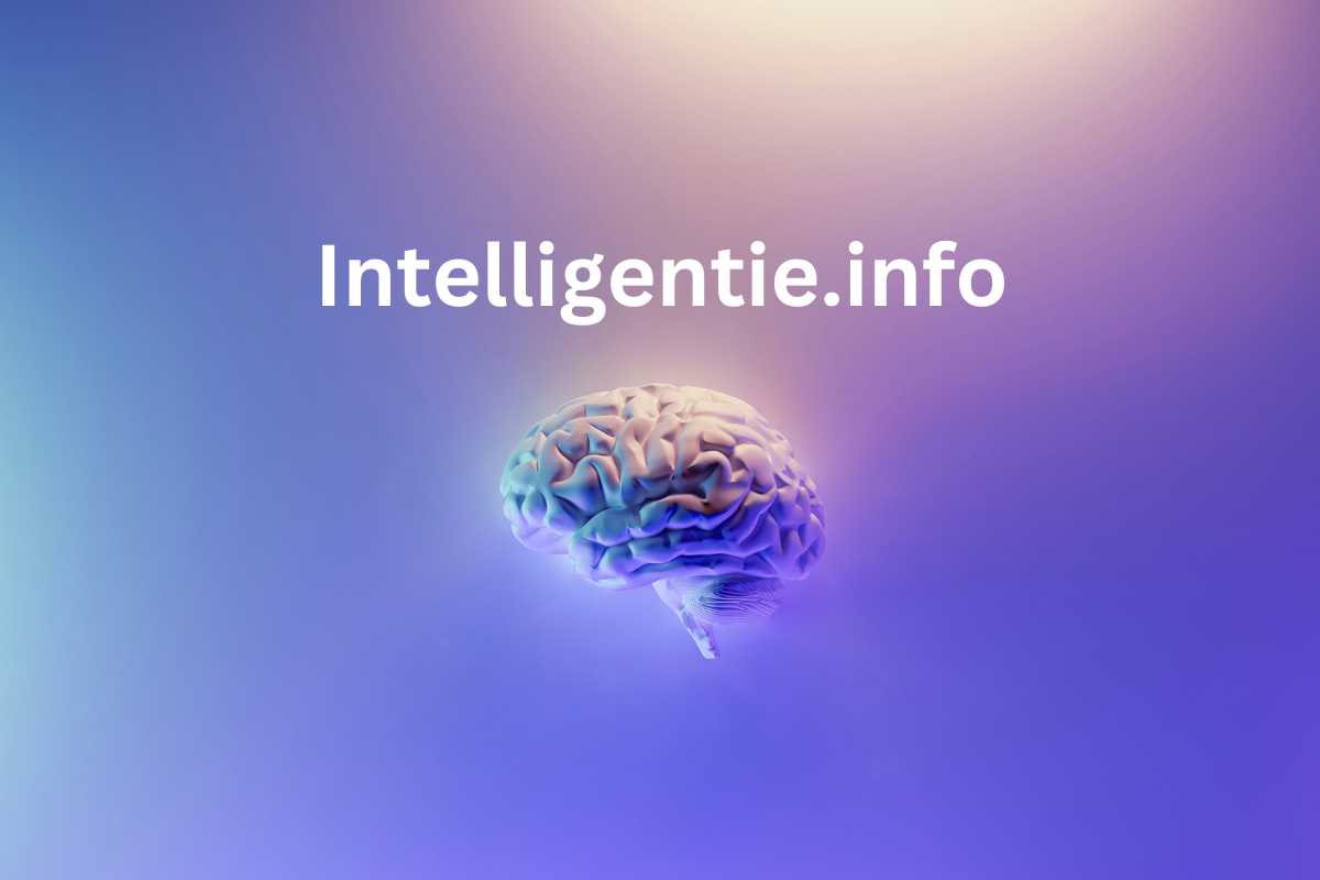 Wat is de MBTI test(Myers-Briggs Type Indicator)?